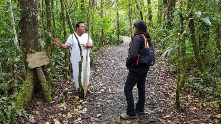 Ecoturismo: ¿Qué es? Y sus actividades más importantes
